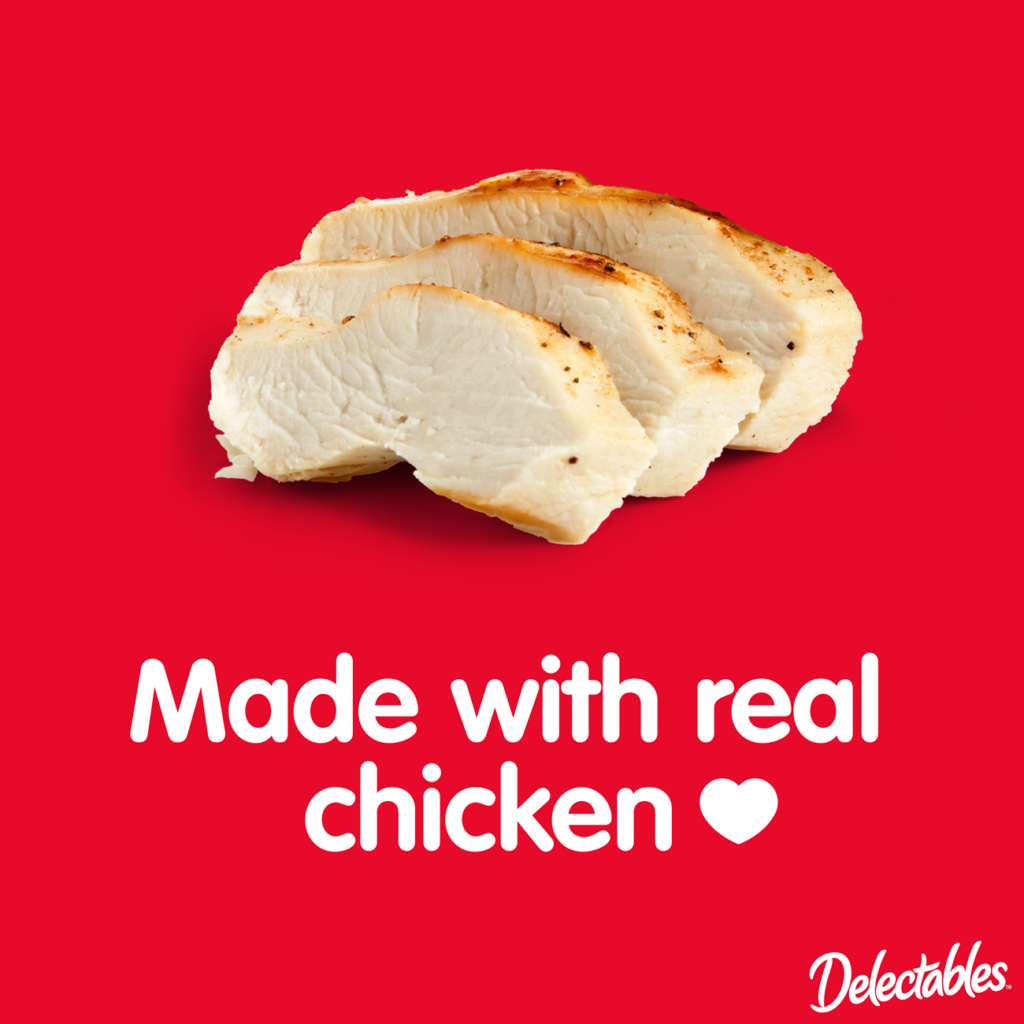 Delectables® Lickable Spoon™ - Variety Pack, 32 Pack | Delectables